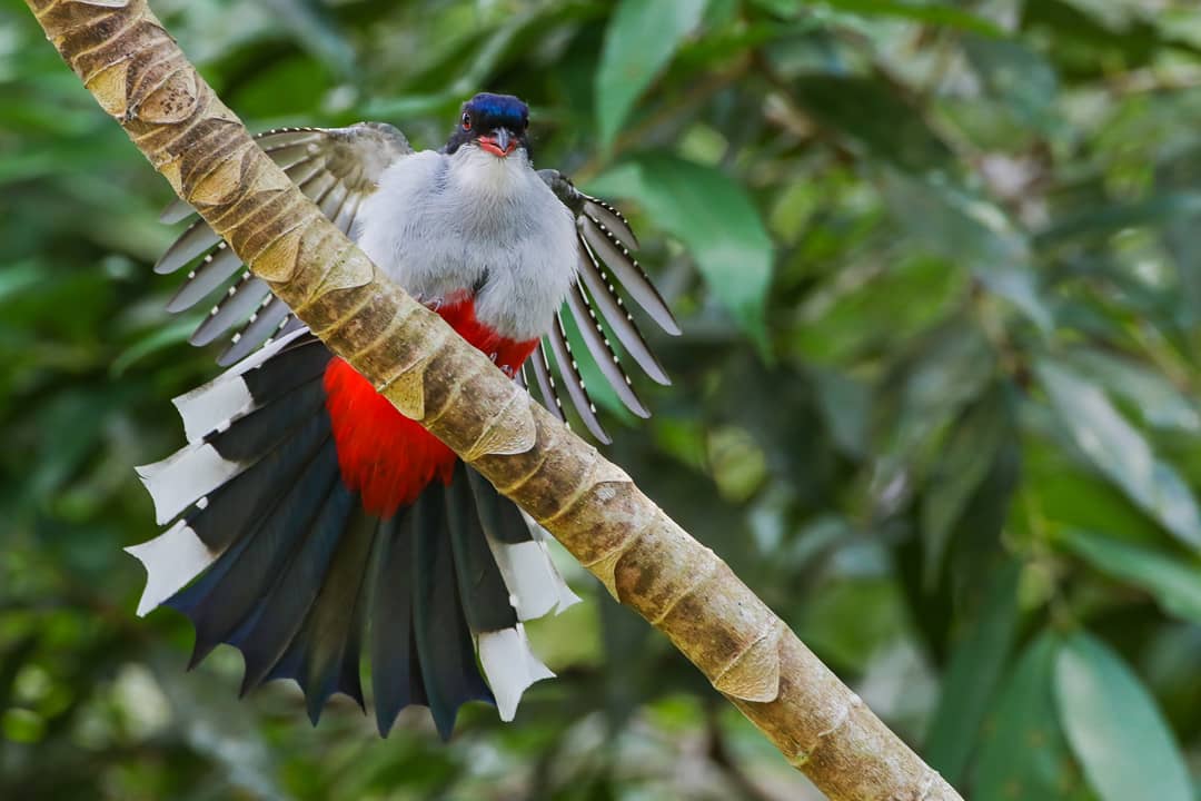 Excursión de naturaleza en Cuba